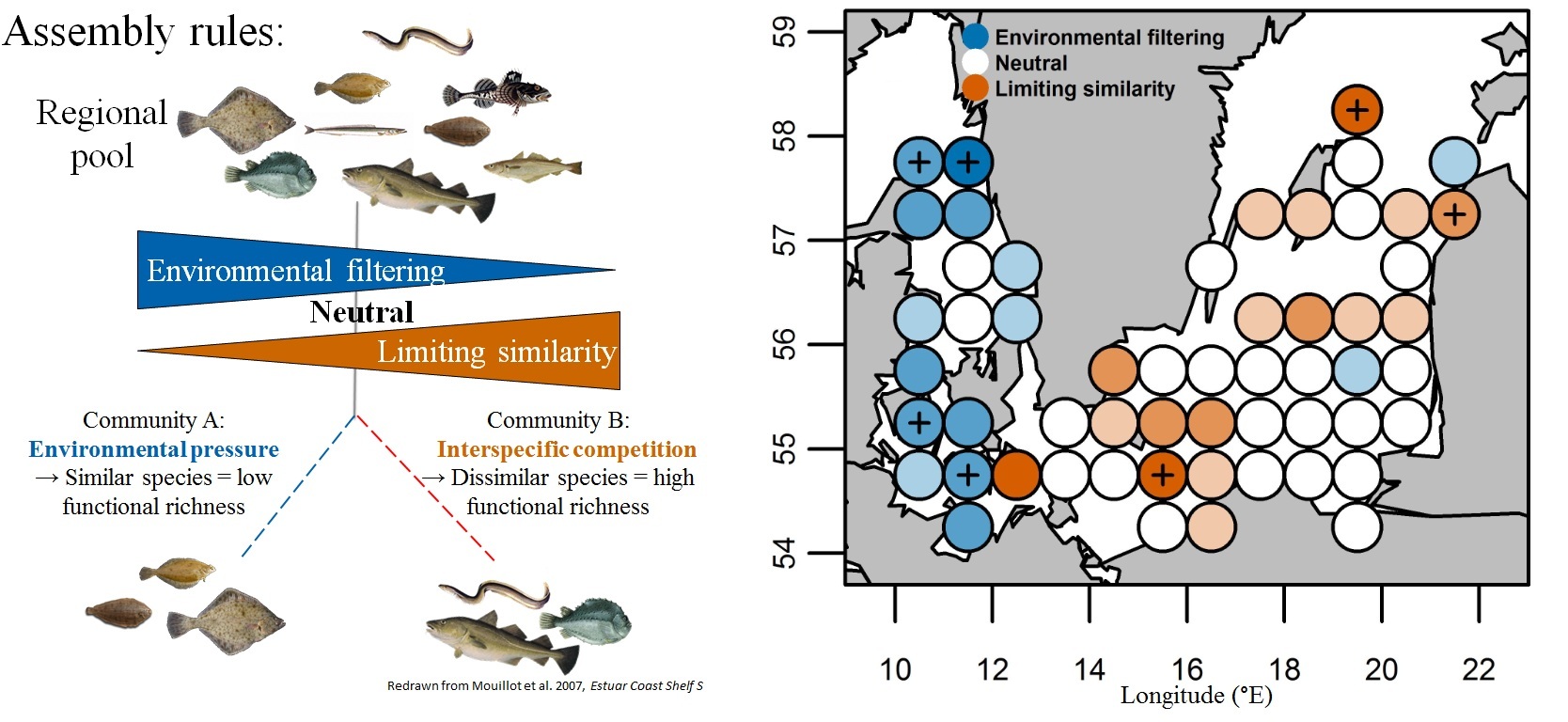 New paper on the patterns and drivers of fish communities in the Baltic ...