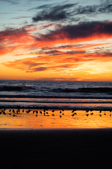 Blog: External stay at UCSB - Centre for Ocean Life